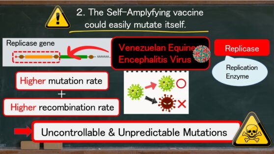 Basic knowledge and concerns about replicon vaccines - We are the ...